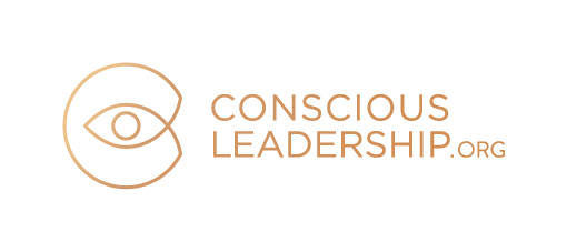 Conscious Leadership Assessment | Marika Messager